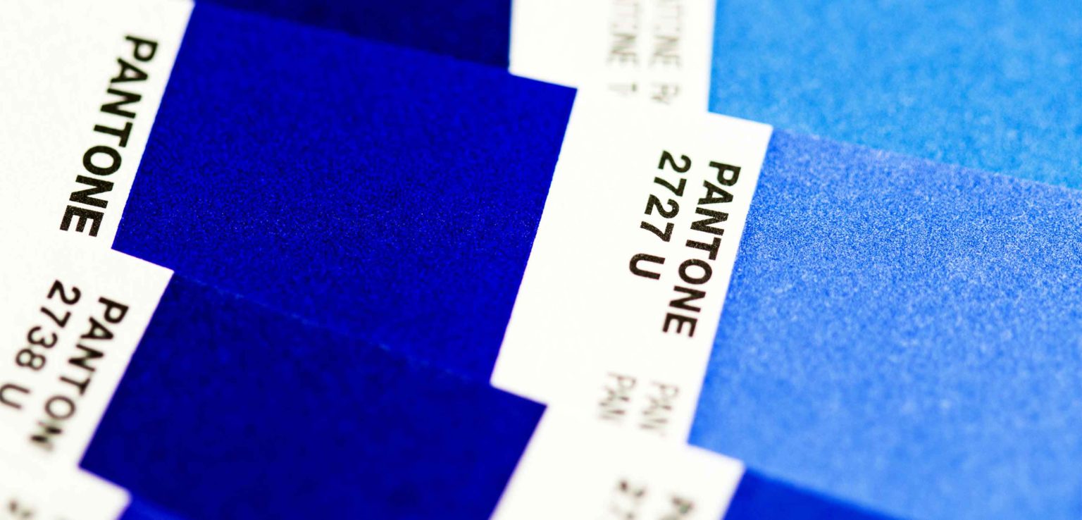 Web and Print Branding