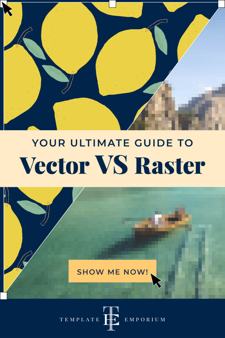 What are Vector and Raster Files?