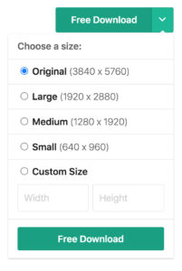 From Blurry to Brilliant! Top 4 Ways to Improve your Website Images