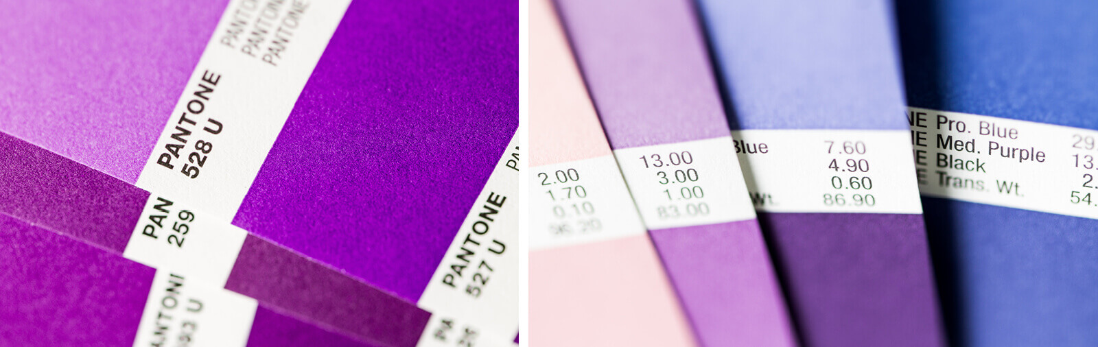 Should you use Purple as your Branding Colour?