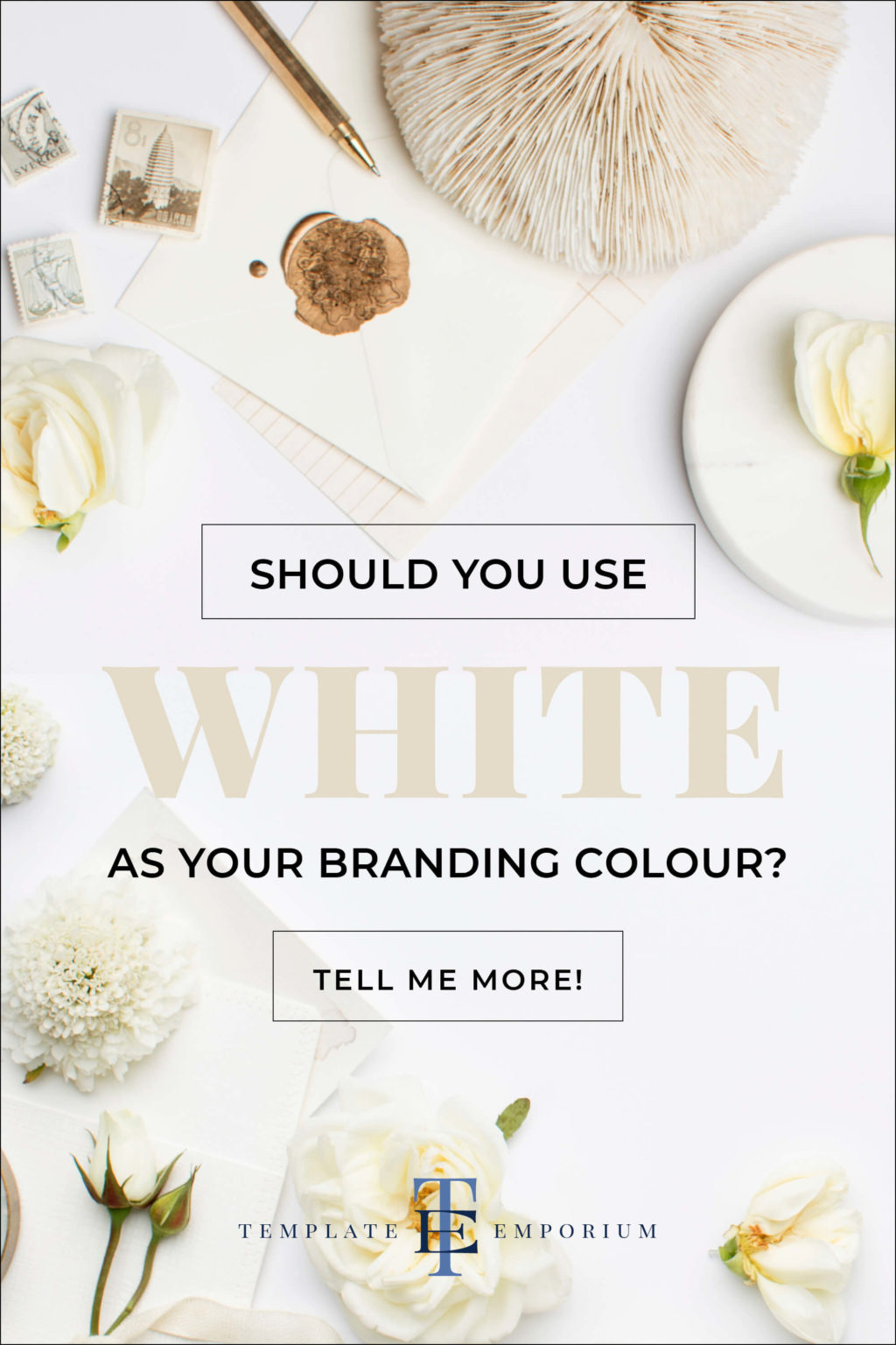 Should you use White as your Branding Colour?