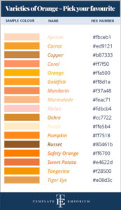 How to Choose Your Brand Colours