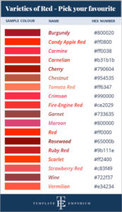 How to Choose Your Brand Colours