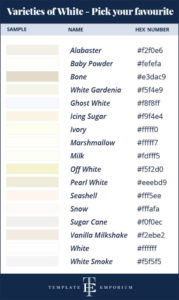 How to Choose Your Brand Colours