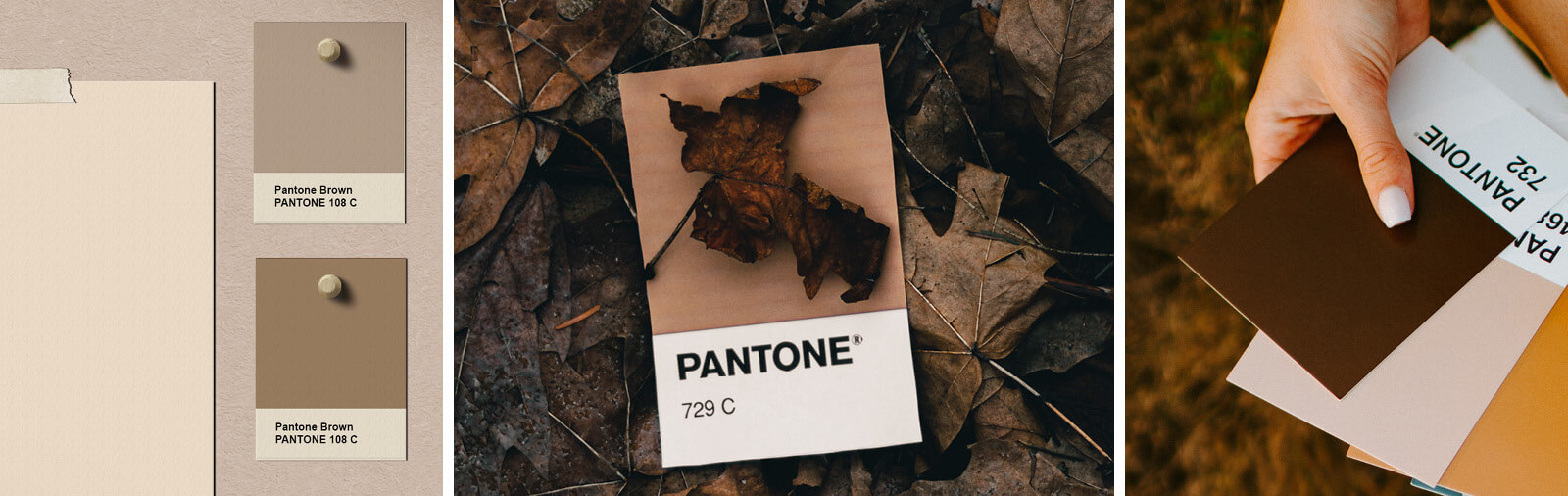 Should you use Brown as your Branding Colour?