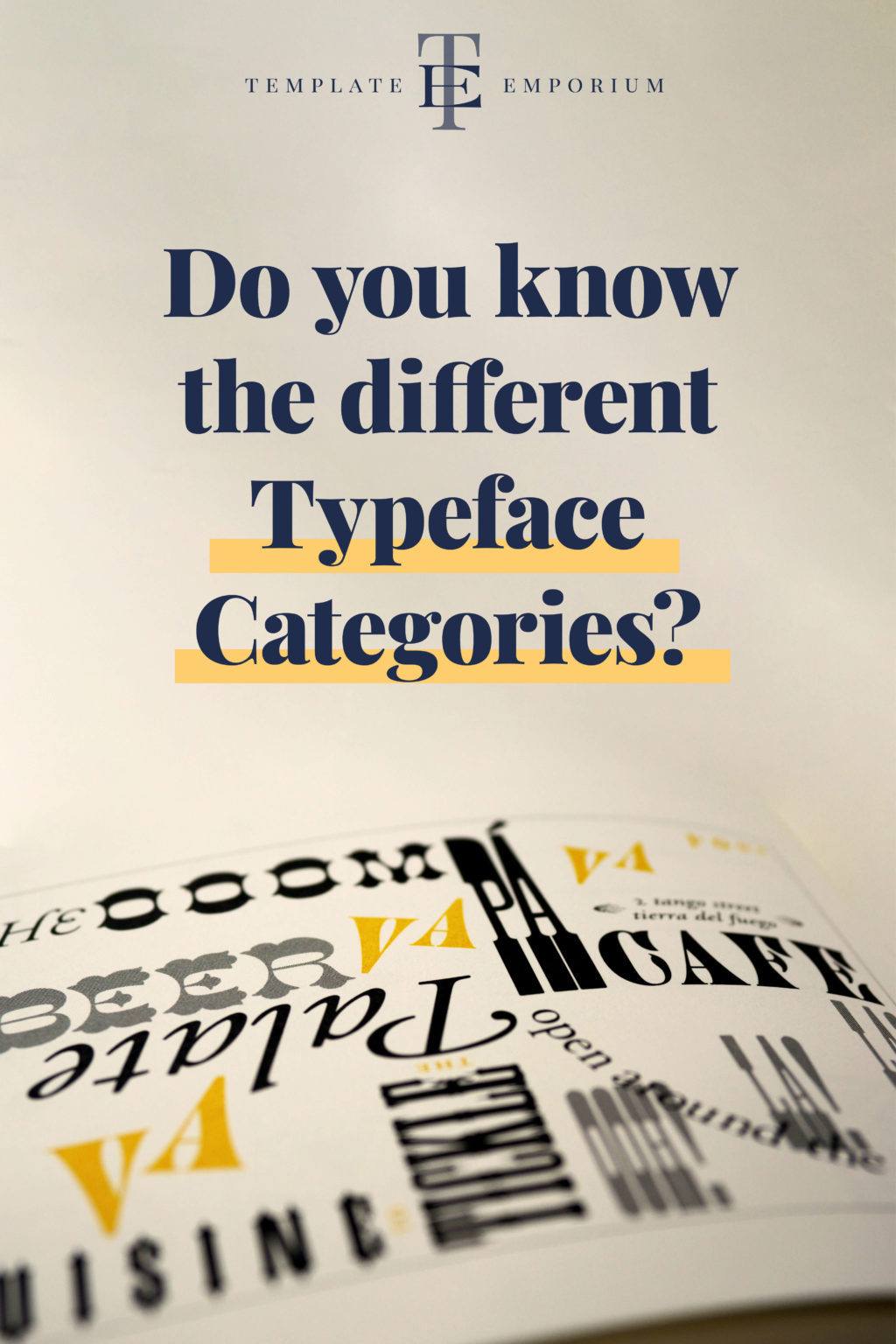 What are the different Typeface Categories?