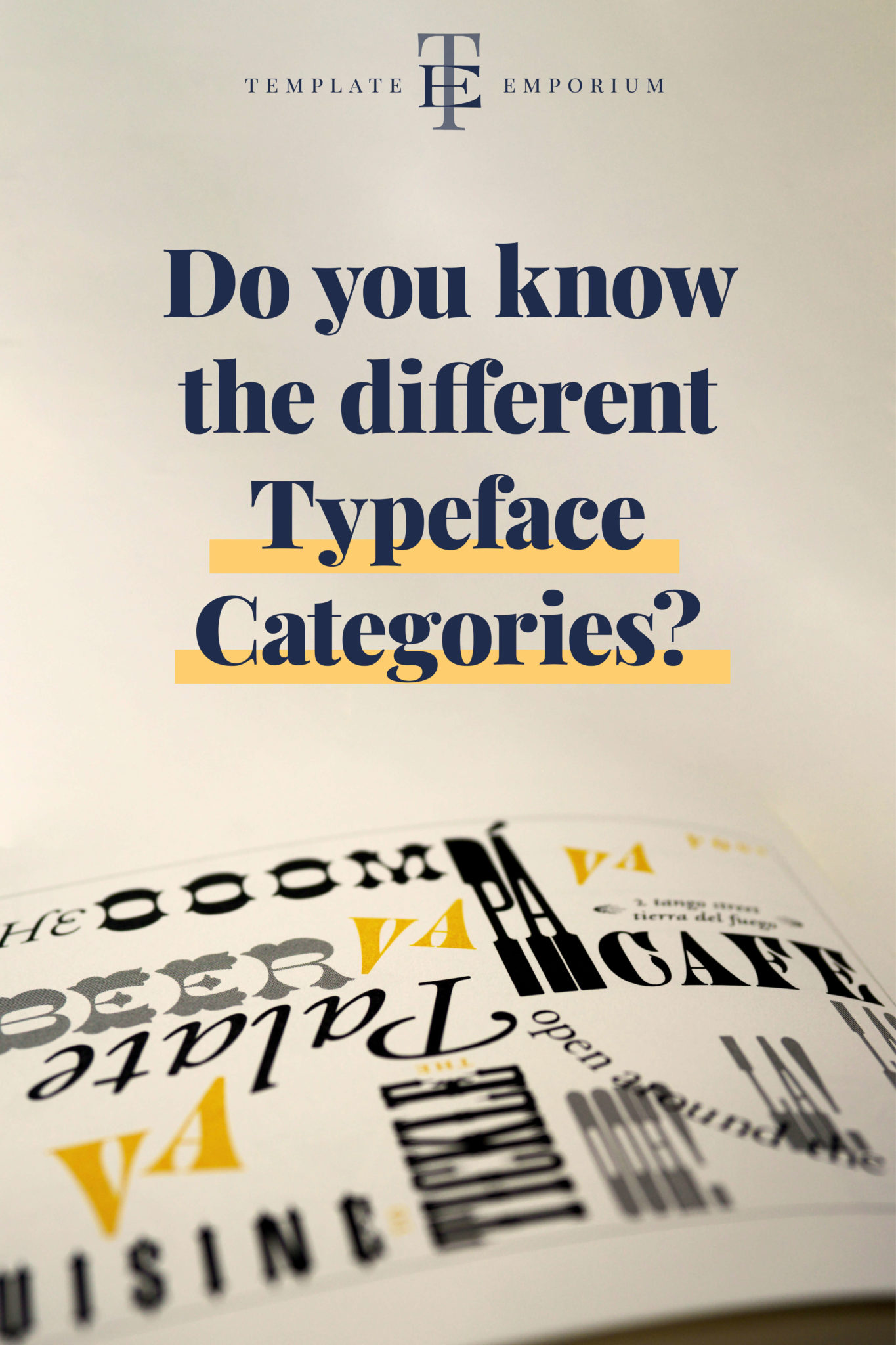 What are the different Typeface Categories?