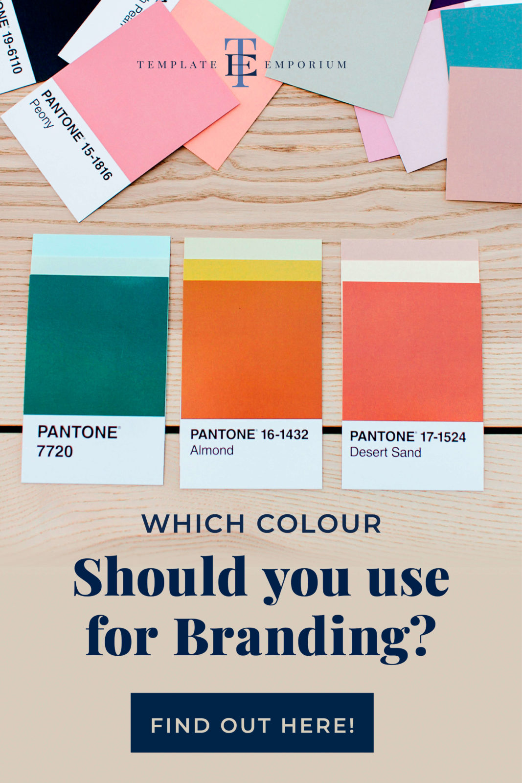 Which Colour should you use for your Branding?
