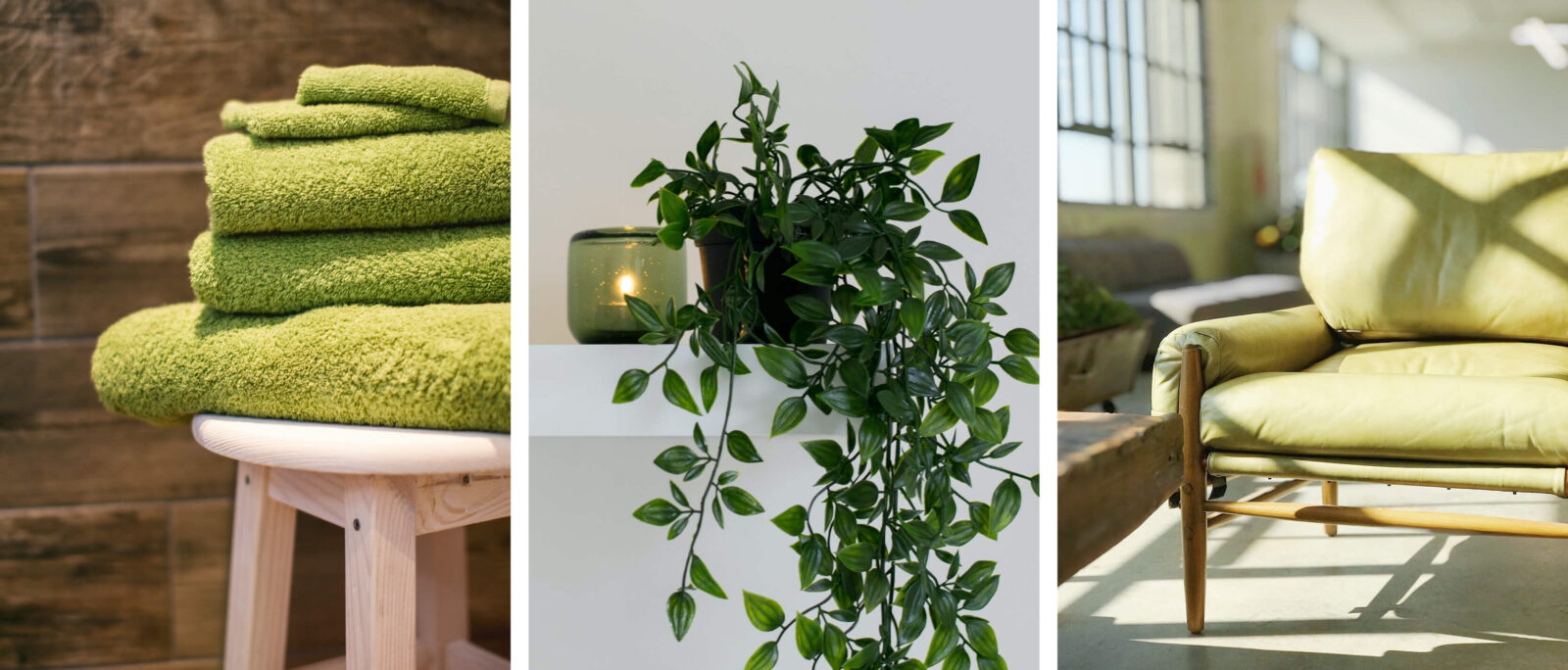 Should you use Green as your Branding Colour?