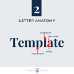 Line & Letter Anatomy - your secret tools for improving your design skills