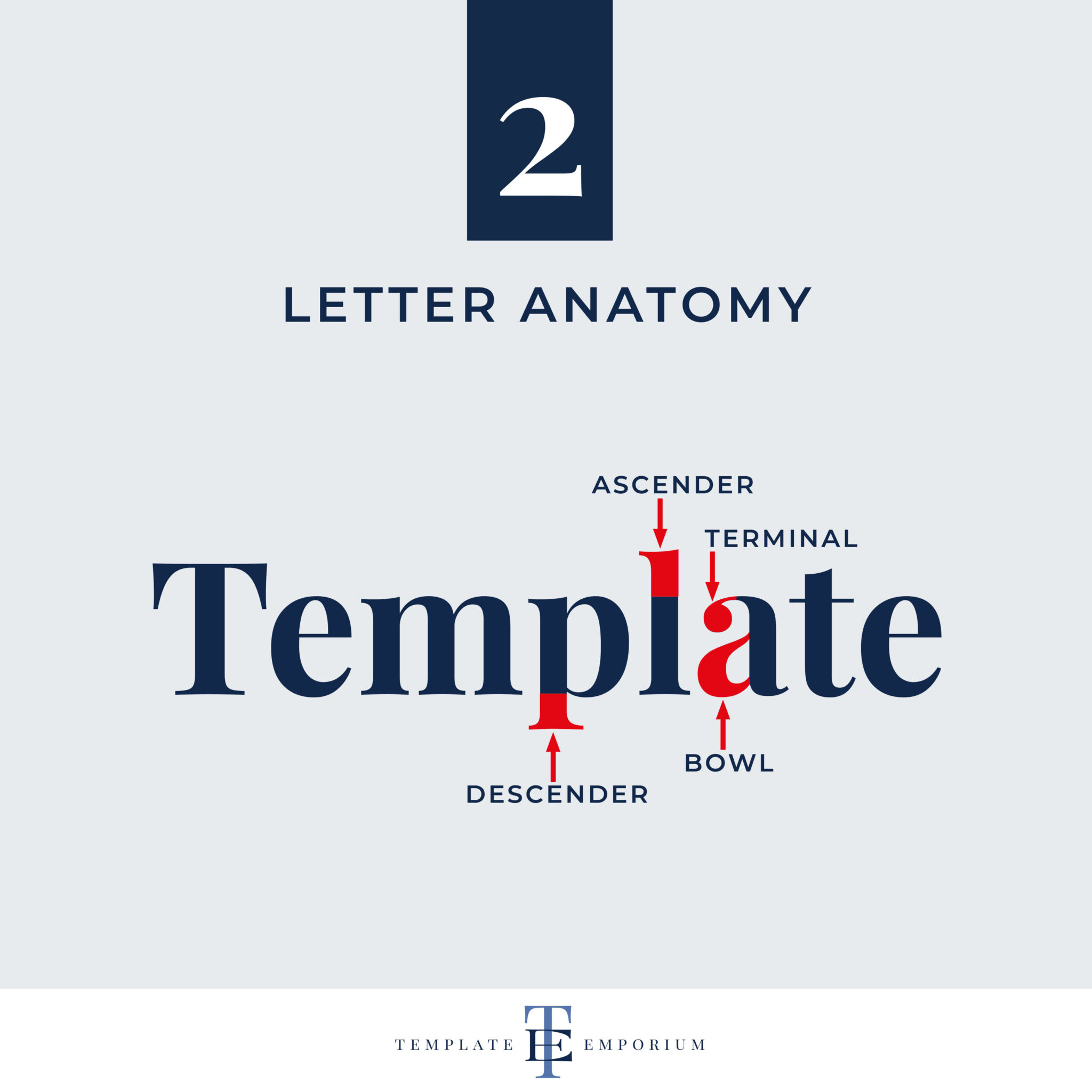 Line & Letter Anatomy - your secret tools for improving your design skills