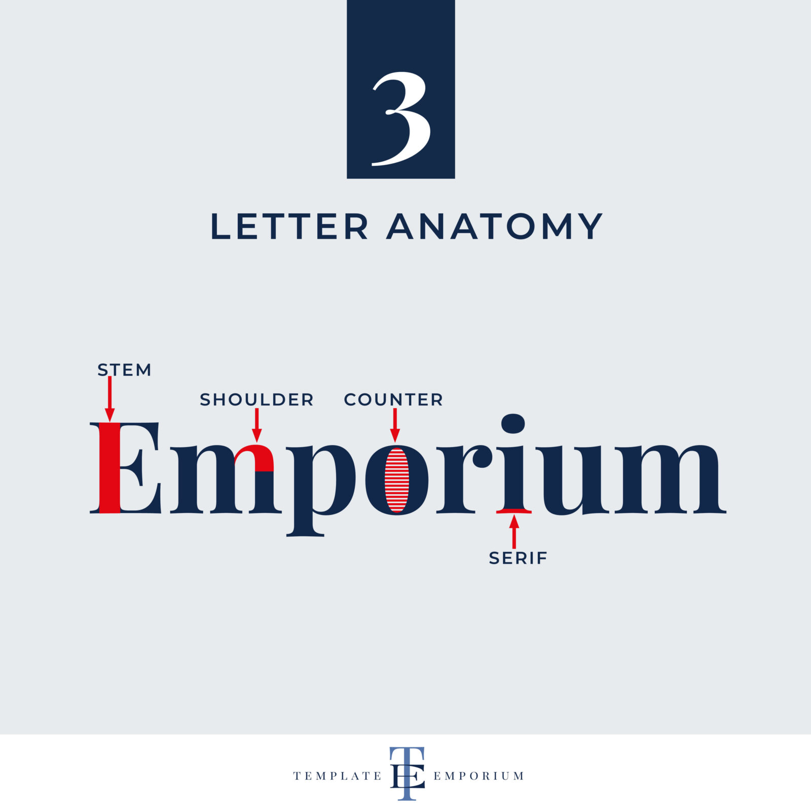 Line & Letter Anatomy - your secret tools for improving your design skills