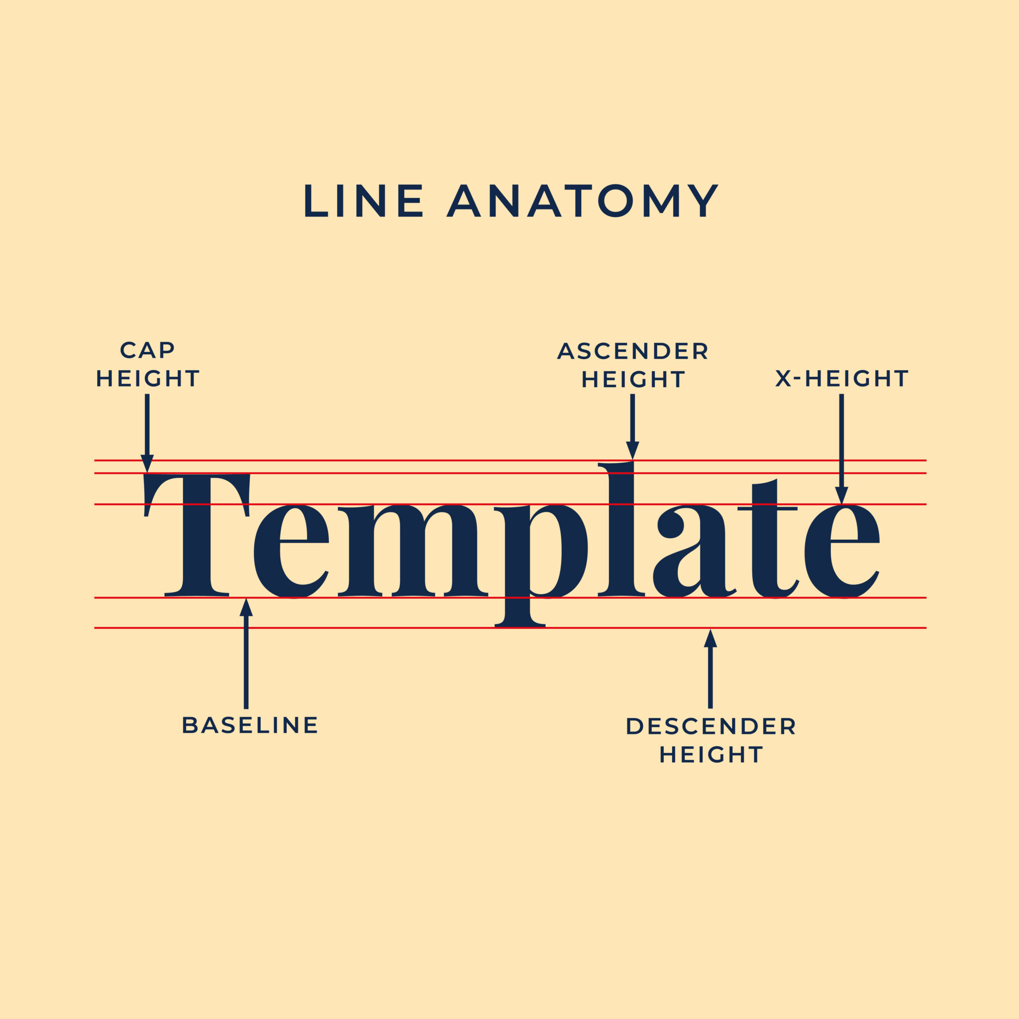 Line & Letter Anatomy - your secret tools for improving your design skills