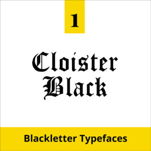 Type Terms you have likely seen (but never knew what they were called).