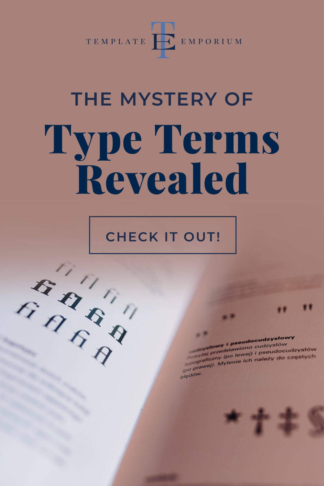 Type Terms you have likely seen (but never knew what they were called).