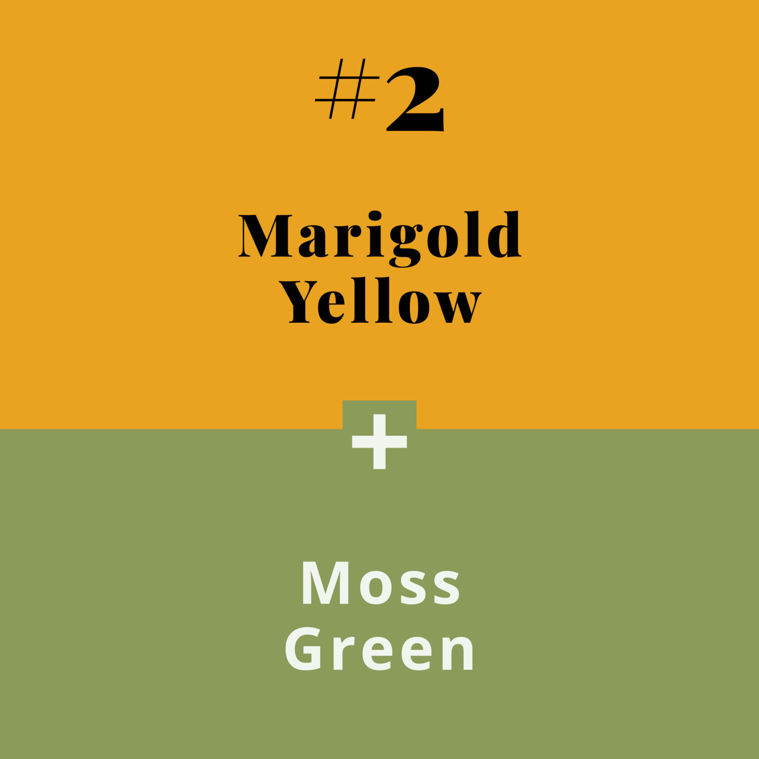 Best Yellow Colour Pairings: Transform your designs with vibrant duos ...