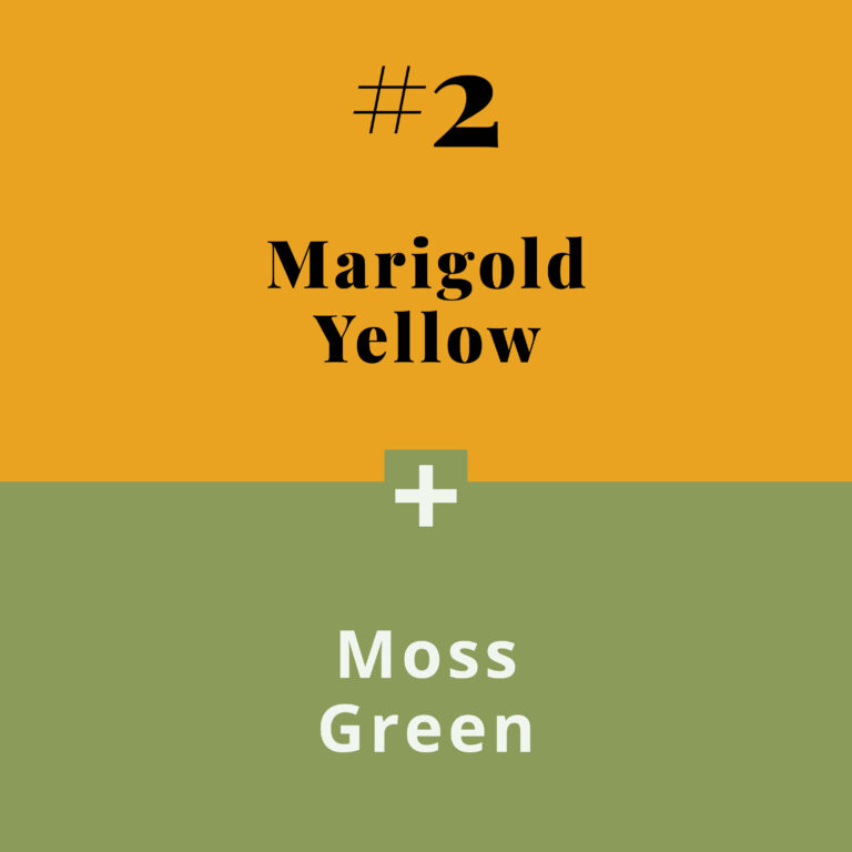Best Yellow Colour Pairings: Transform your designs with vibrant duos ...